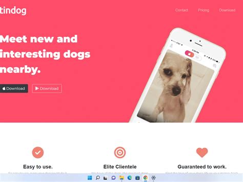 wordpress website elementor website woocommerce website seo upwork