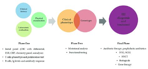 Diagnostic Approach To Inborn Errors Of Immunity This Diagnostic Download Scientific Diagram