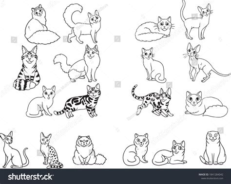 Line Cat Breeds Sticker Coloring Book Stock Vector Royalty Free
