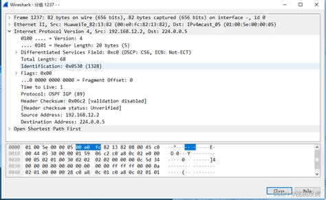 ospf数据库、hello包解析 ospf hello报文 csdn博客