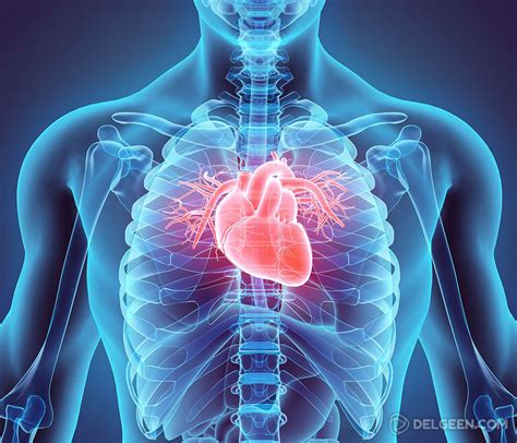 Таны зүрх өвчилж эхлэж байгааг мэдэгдэх шинж тэмдгүүд Үүнийг мэдэж