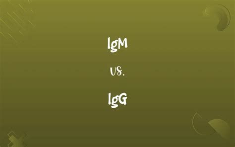 Igm Vs Igg Know The Difference