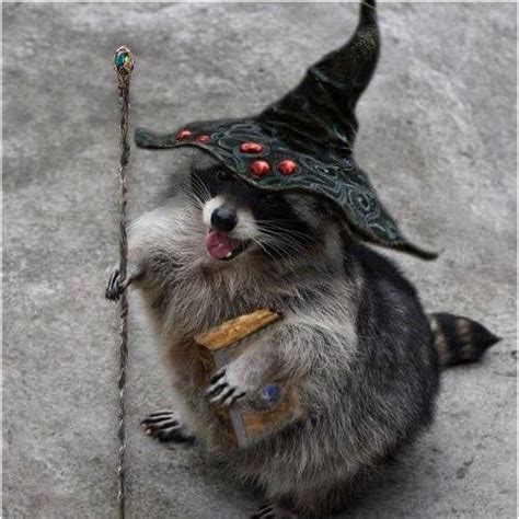 Dolly Itsdollymf Threads Say More