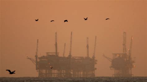 Петролът на ОПЕК падна под 80 долара за барел Новини бг