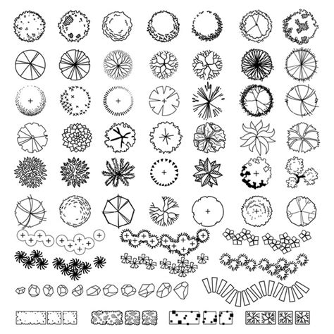 110 Thousand Architectural Plant Symbols Royalty Free Images Stock