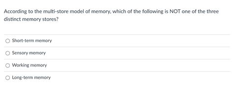 What Is The Multi Store Model Of Memory And What Are Chegg Com