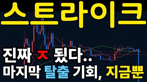 스트라이크 코인 진짜 X됐다 마지막 탈출 기회 지금뿐 스트라이크 스트라이크코인 Youtube
