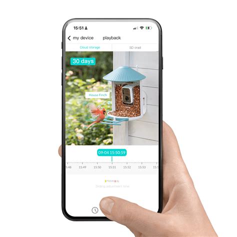 Bird Recognition Ai Skills Birdfy