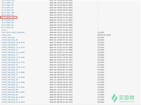 偷懒大法好，用 Selenium 做 Web 端自动化测试使用selenium进行web自动化测试 Csdn博客