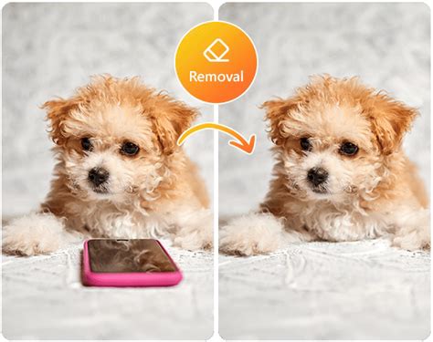 How To Remove Decimals In Excel University Innovation Hub