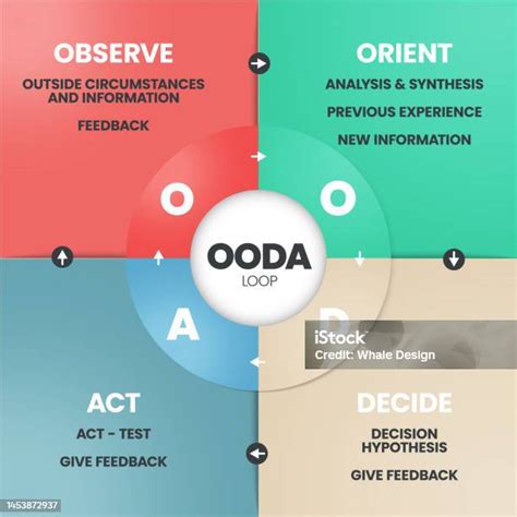 아이콘이있는 Ooda 루프 인포 그래픽 템플릿 배너 벡터는 고위험 상황에서 효과적인 결정을 내리기위한 관찰자 방향 결정 및 행동과 같은 4 단계 프로세스입니다 벡터
