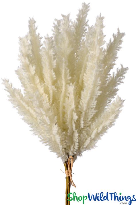 Faux Flocked Pampas Grass Bundle 13 Cream Flower Spray