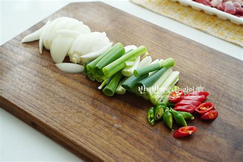 돼지고기 고추장 불고기 만드는법
