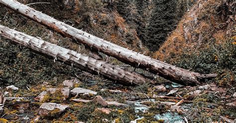 Wordpress Error Logs 13 Expert Answers For Troubleshooting