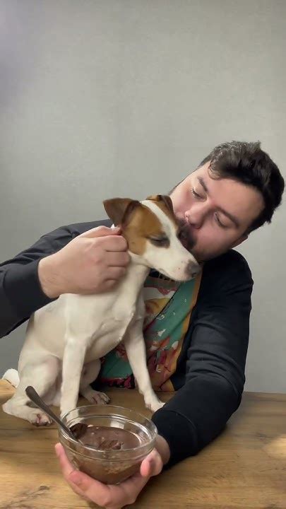 მარტივი დესერტი ️ კულინარია Food Youtube