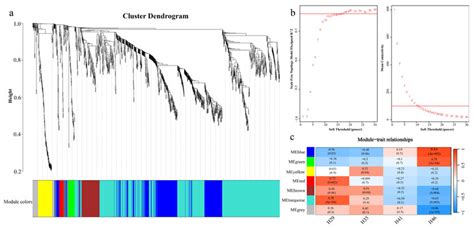 wgcna analysis results of degs a clustering dendrogram of degs with