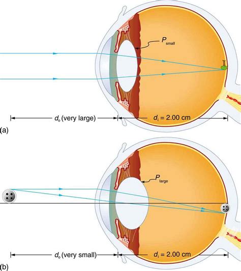 9 1 physics of the eye texas gateway