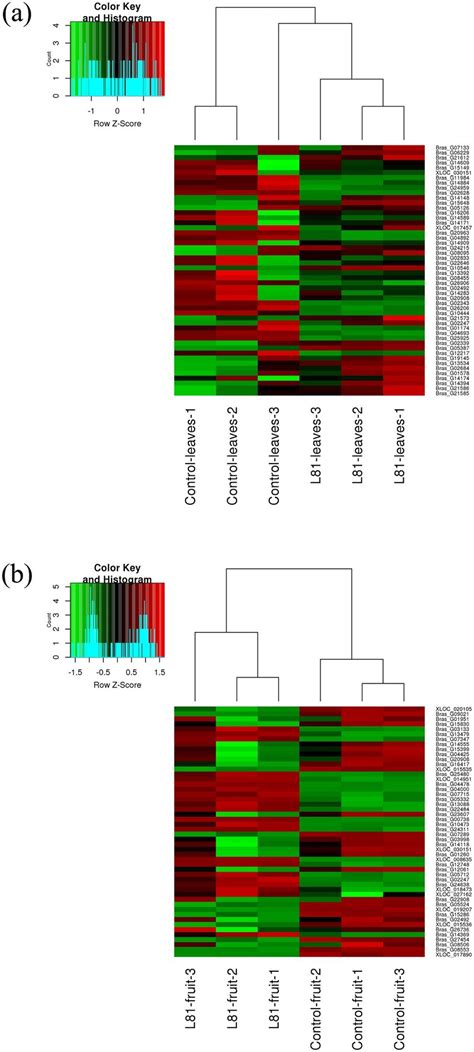 Heat Map And Unsupervised Hierarchical Clustering By Sample Top 50