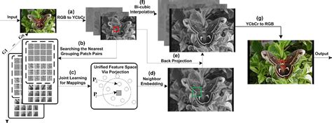 figure 1 from joint learning for single image super resolution via a