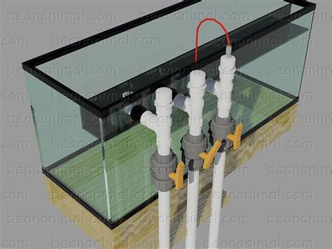 Silent Fail Safe Aquarium Overflow System Artofit