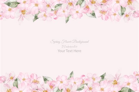 우아한 수채화 벚꽃 꽃 프레임 배경 프리미엄 벡터