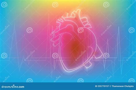 Heart Rate Measurement Stock Vector Illustration Of Measurement 255770157