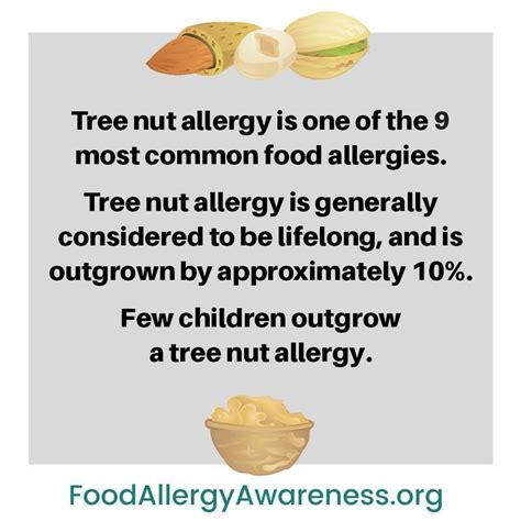Understanding Tree Nut Allergy And Cross Reactivity