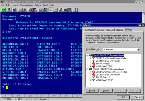 Adding Multiple Pcnet Nics To A Windows Nt 40 Terminal Server Under