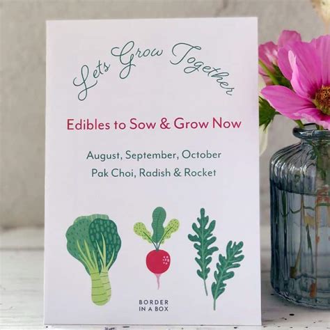Seed Kit To Sow Now Edibles By Border In A Box