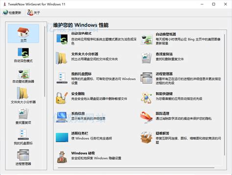 TweakNow WinSecret v4 9 5 Win10 11优化工具汉化版 易破解