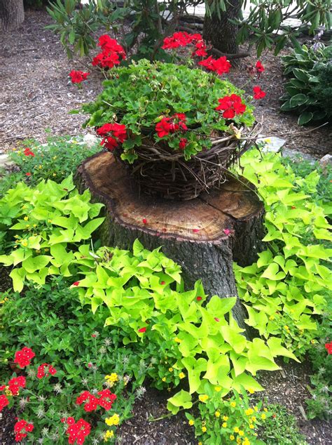 Unique Tree Stump Garden Ideas