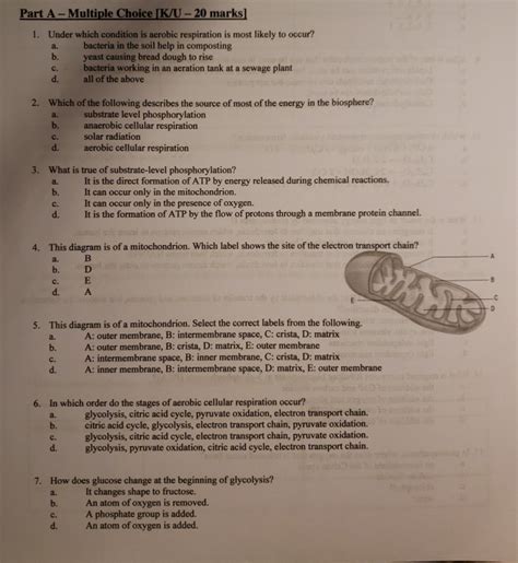 solved part a multiple choice k u 20 marks 1 under which
