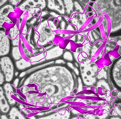 How To Predict Protein Structures With Alphafold 2 Using Colabfold By