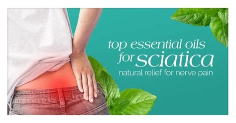 Unlock Sexual Potential Best Essential Oils For Sex