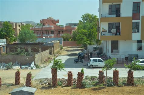 Stacked Bricks Surround And Protect Newly Planted Trees 照片檔及更多 人 照片