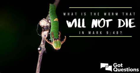 What Is The Worm That Will Not Die In Mark 9 48