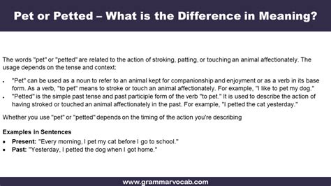 Pet Or Petted What Is The Difference In Meaning GrammarVocab