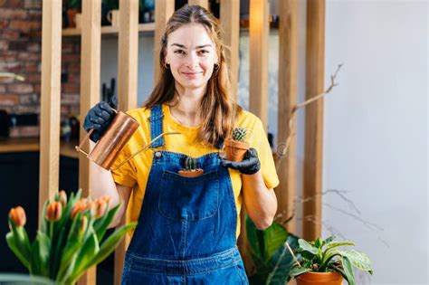 Daily Chores Cute Woman Mini Cactus Garden Warm Home Kitchen Backdrop Stock Image Image Of