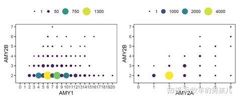 跟着nature学作图 R语言ggplot2气泡图展示amy基因拷贝数 知乎