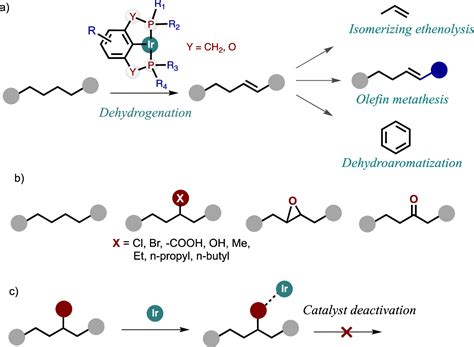 Homogeneous Catalysis In Plastic Waste Upcycling A Dft Study On The