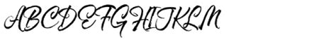 hayne script rough regular font script decorative what font is