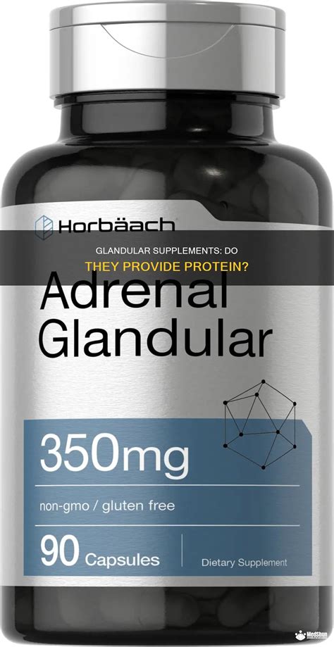 Glandular Supplements Do They Provide Protein Medshun