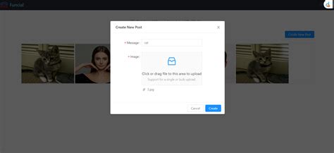 Github Brisingr2012tiktok Alike Tik Tok Liked Social Network Web