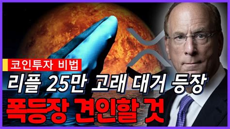 리플 25만 고래 대거 등장 이번 폭등장 견인할 것 Youtube