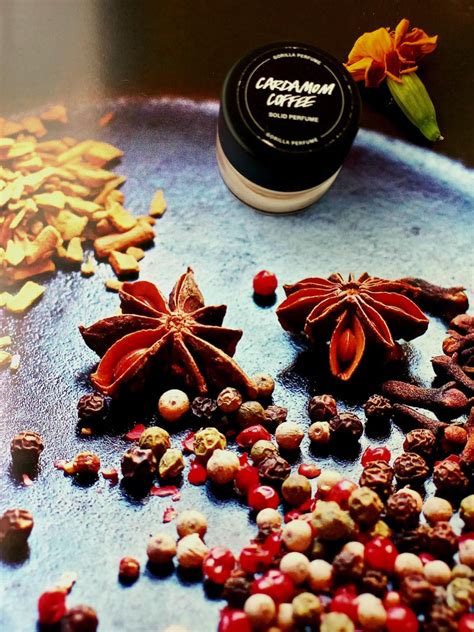 Cardamom Coffee Lush аромат — аромат для мужчин и женщин 2016