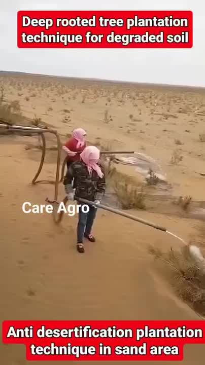 [video] Nayang Ntshole On Linkedin Botswana Namibia Lets Combat Desertification