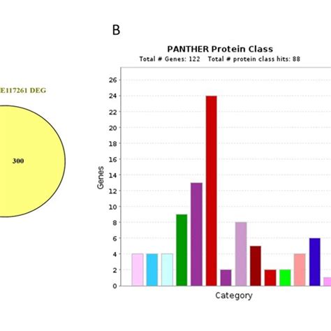 a venn diagram of common degs detected in two datasets in the venn
