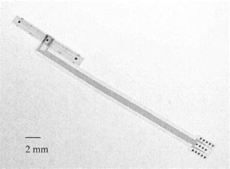 Polyimide Based Cuff Electrode With 12 Stimulation Sites Cuff Download Scientific Diagram