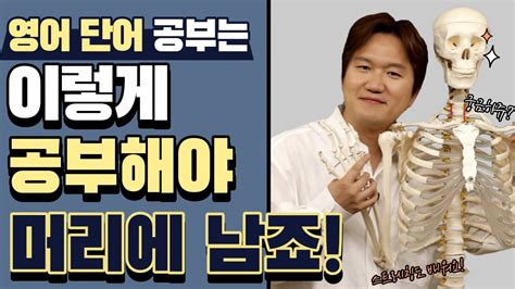 일상 영어단어ㅣ평생 기억에 남을 수 밖에 없는 영어단어 Youtube
