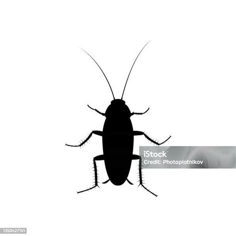흰색 배경에 고립 된 바퀴벌레 곤충 아이콘 해충 버그 실루엣 상단 보기 평평한 신체 기생충 오염 바퀴벌레 벡터 일러스트 벡터에 대한 스톡 벡터 아트 및 기타 이미지 Istock